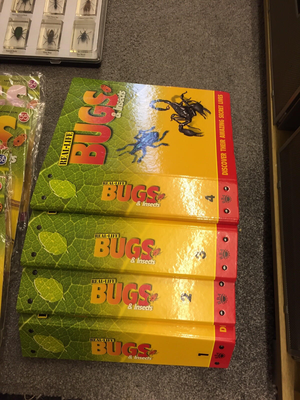 Real Life Bugs And Insects Plus Magazines Bundle | eBay UK