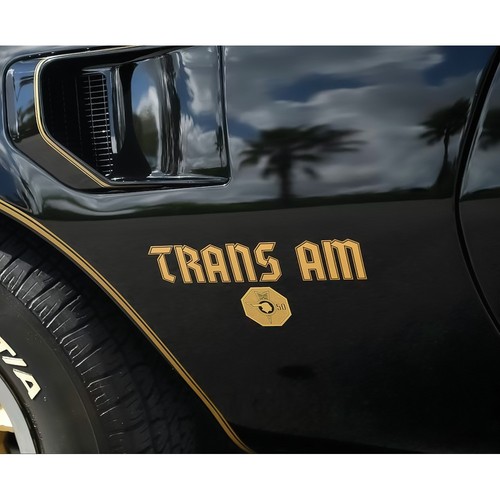 1976 Trans-Am Special Edition "50th Anniversary" Medallion | eBay