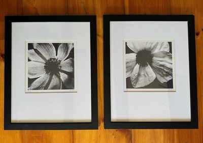 Graeme Harris Framed Anemone & Poppy Flower Prints Numbered England | eBay