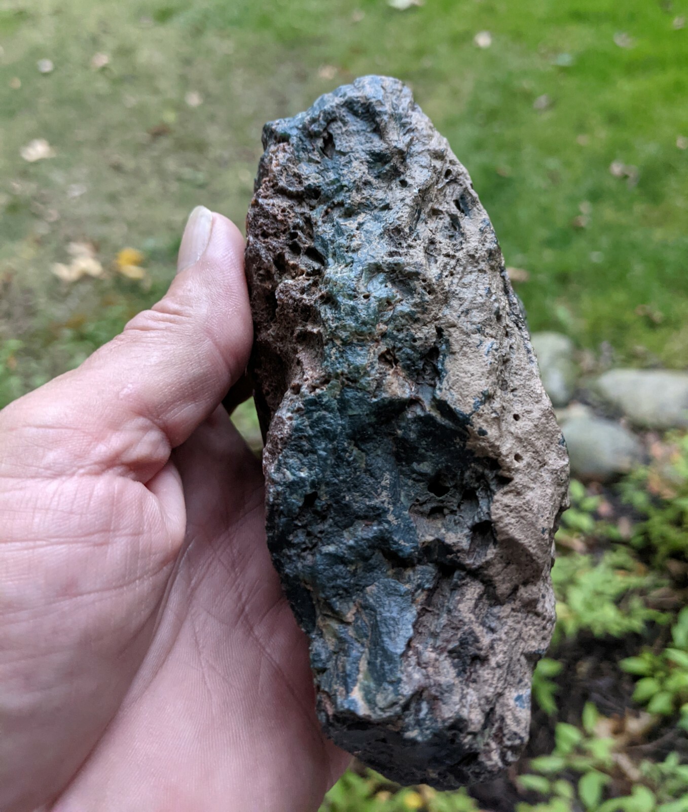 Hampton Butte Green petrified wood number 2 1.5# | eBay