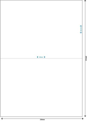 100 x 2 per sheet A4 self adhesive for evri address Matt postal White ...