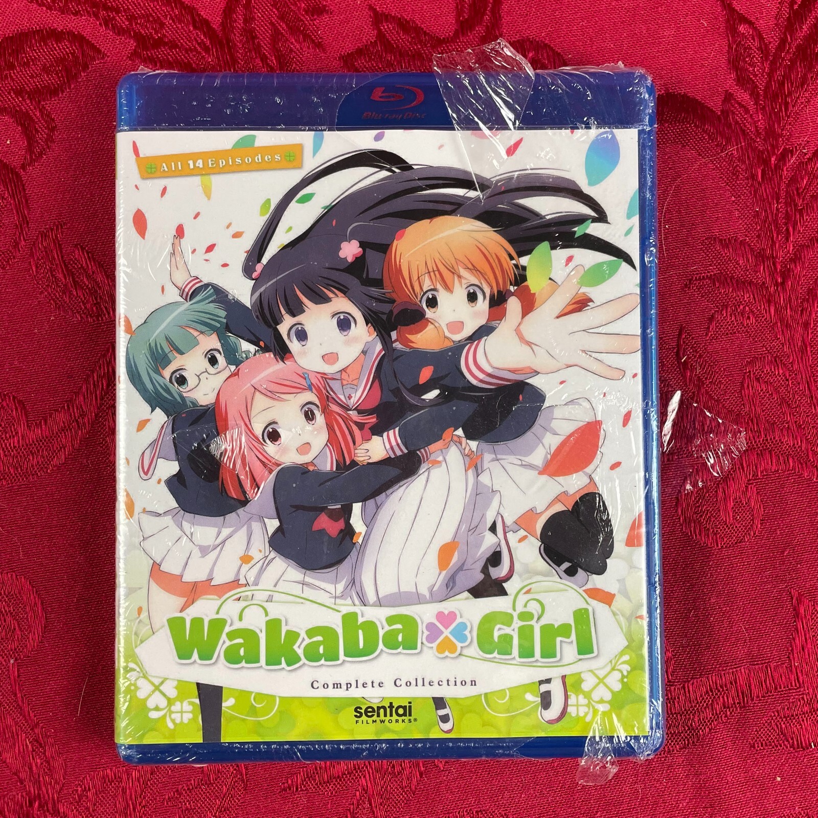WAKABA GIRL: Complete Collection (2015) Sentai Filmworks, Masaharu ...