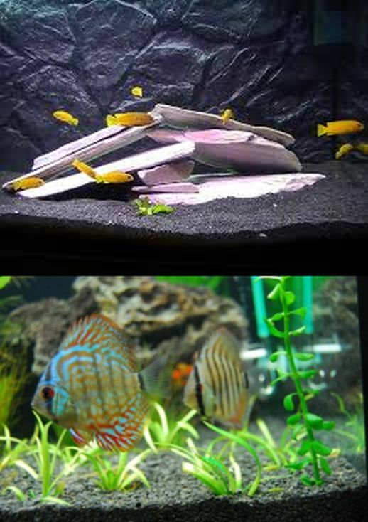 Aquarium Slate Natural Fish Tank Stone Rock Decoration WHITE SLATE 5kg ...