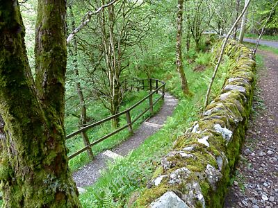Photo 12x8 Down to the River Lednock gorge Comrie/NN7722 A very steep ...