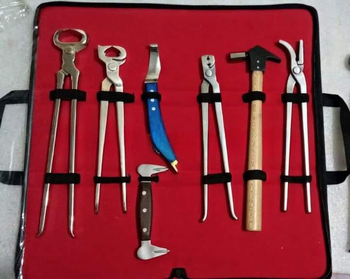 Heavy Duty Professional Horse Care Farrier Tool Kit Hoof Clincher ...