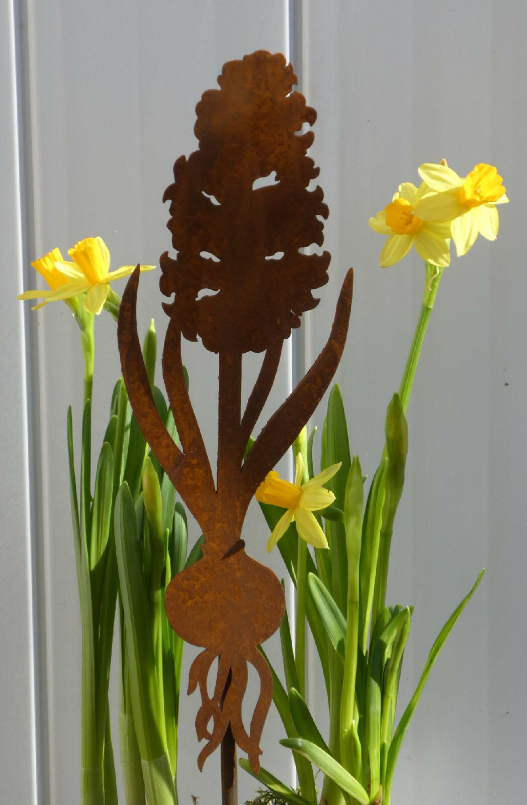 Frühlingsblumen Stecker Tulpe Hyazinthe Iris Deko für Blumentopf ...