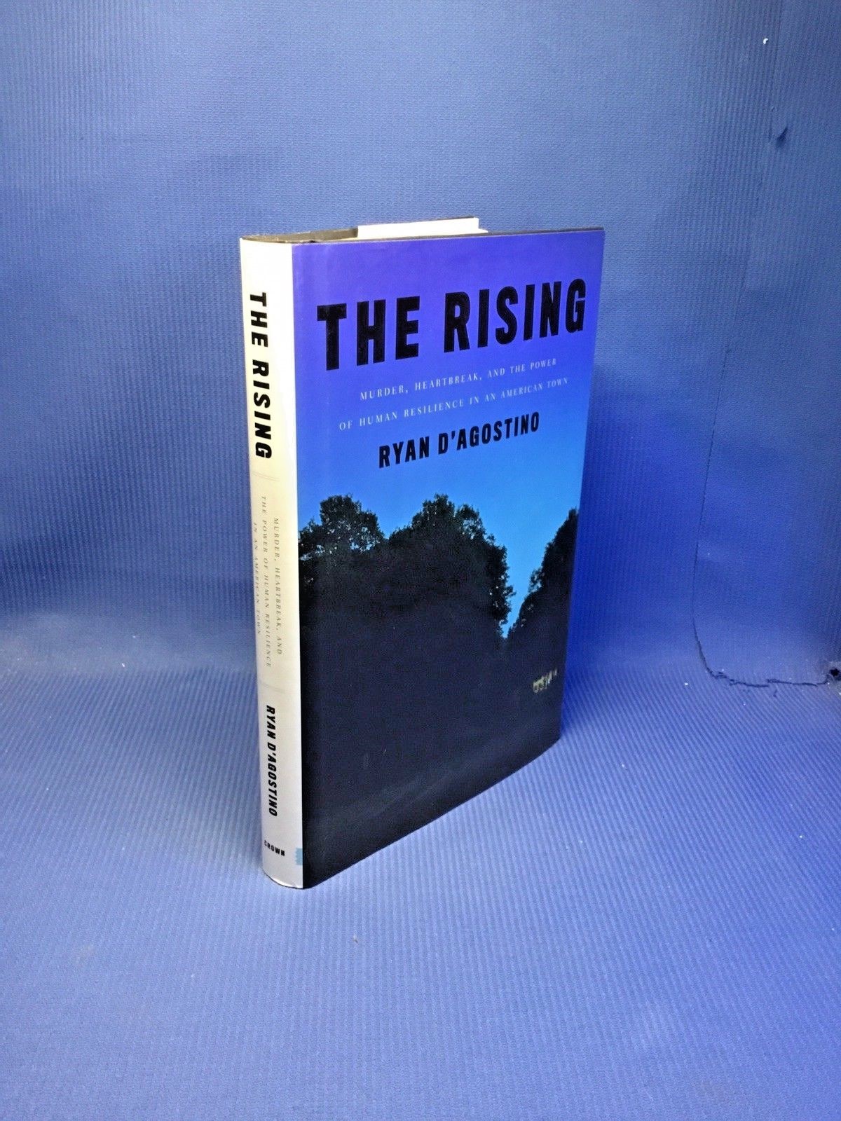 The Rising by Ryan D’Agostino 2015 Hardcover First Edition Illustrated ...