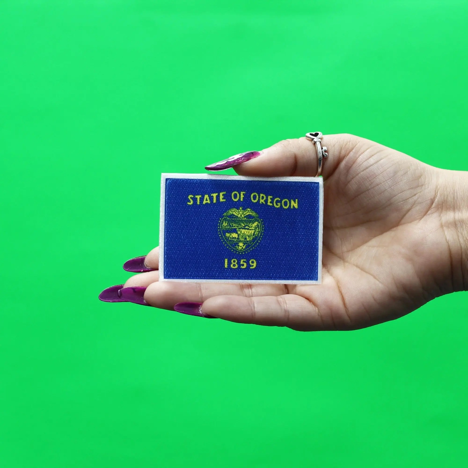 Oregon Patch State Flag Embroidered Iron On | eBay