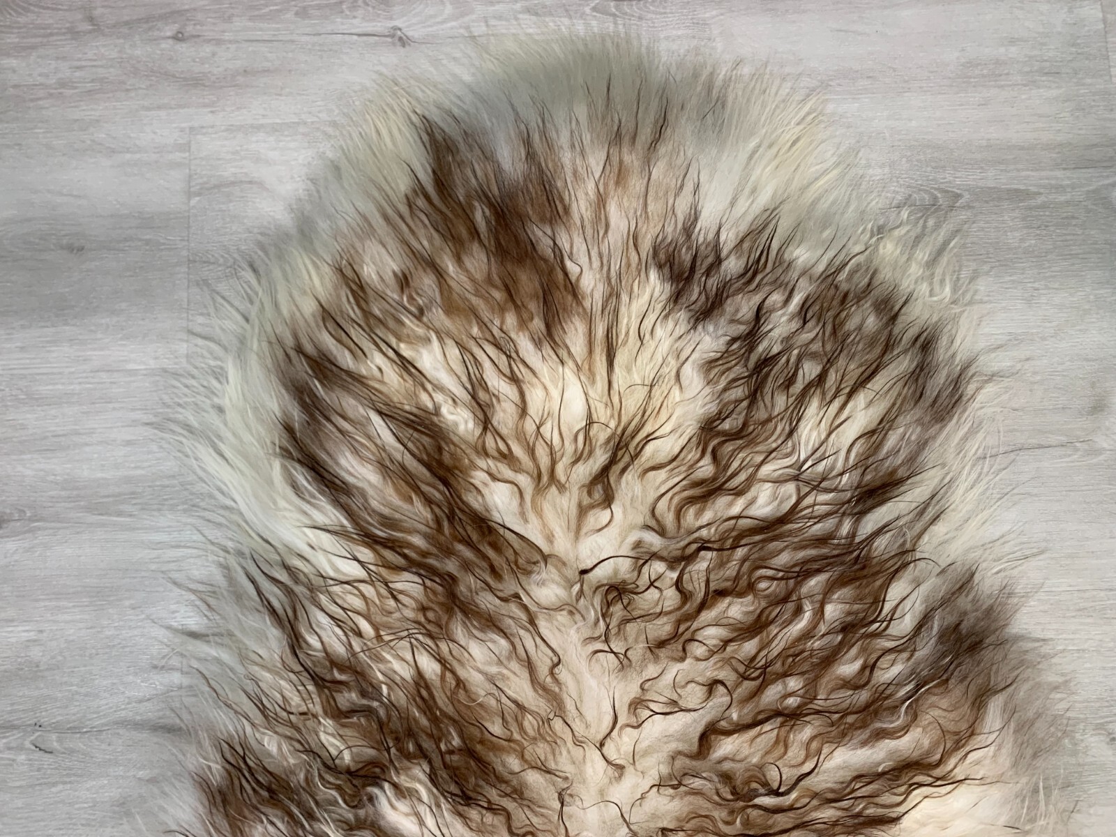 Icelandic Curly Mouflon Brown Pelt Throw Blanket Hide Genuine Sheepskin ...