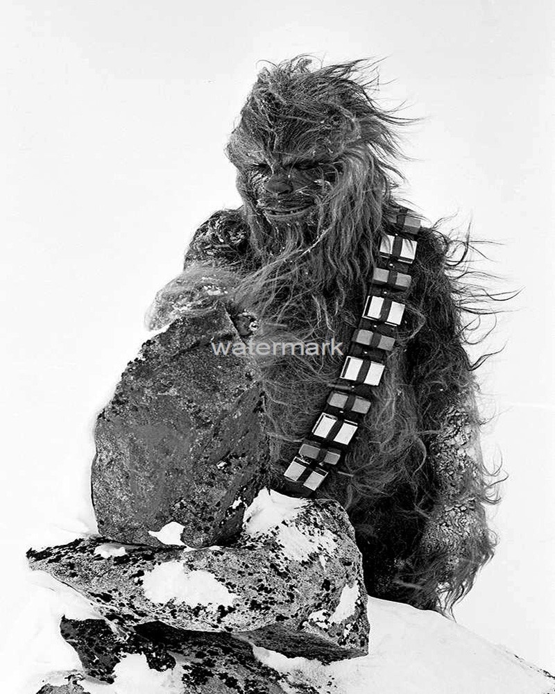 8x10 Chewbacca GLOSSY PHOTO photograph picture print star wars wookie ...