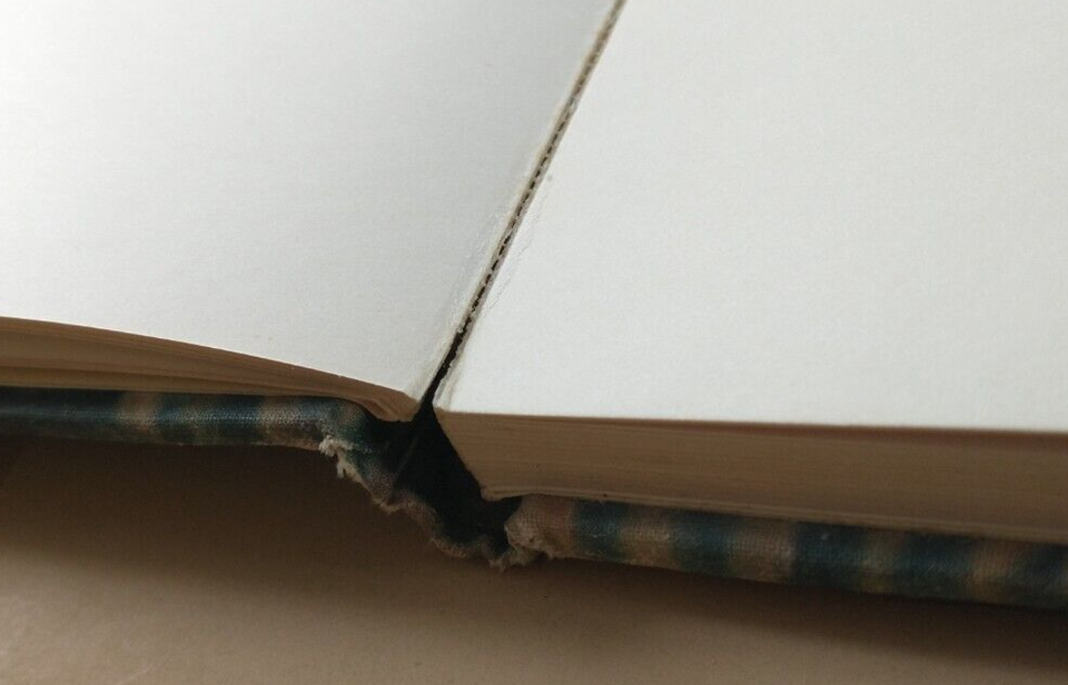 Vintage REMBRANDT & RENOIR Art Print Reproduction Book Lot From ITALY ...