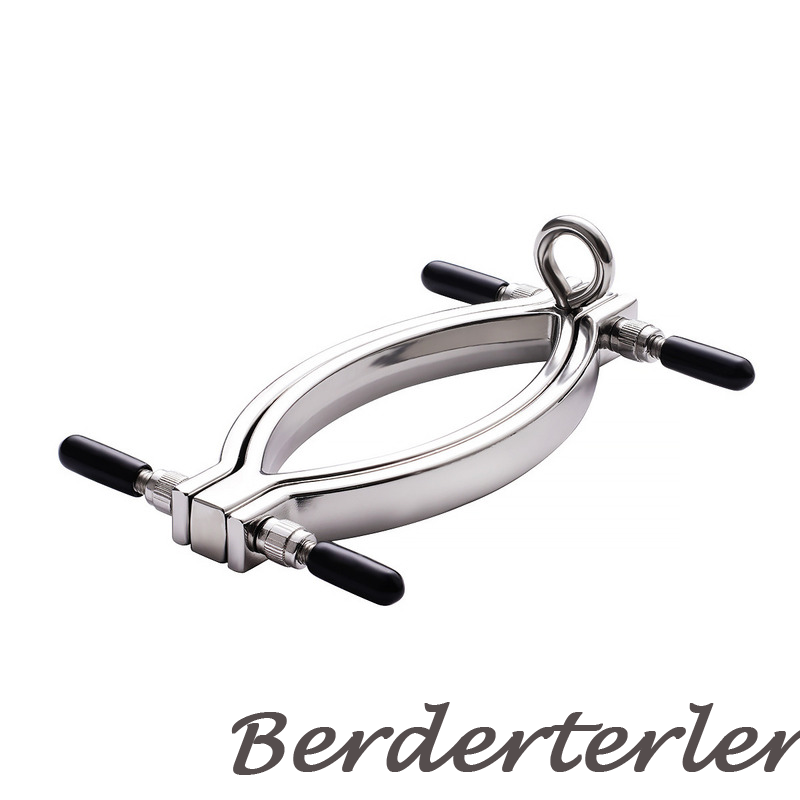 Metal Labia Clip with Leash Clitoris Pussy Clamps Vagina Spreader Sex ...