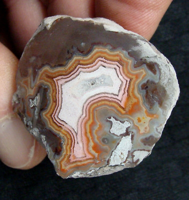 Gorgeous Domed Collector Quality Dryhead Agate Polished Specimen ...