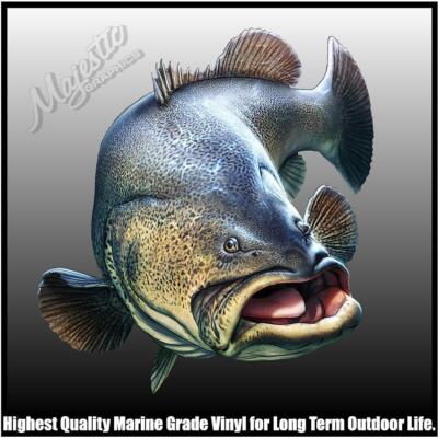 MURRAY COD - 210mm x 190mm - BOAT DECAL - STICKER | eBay Australia