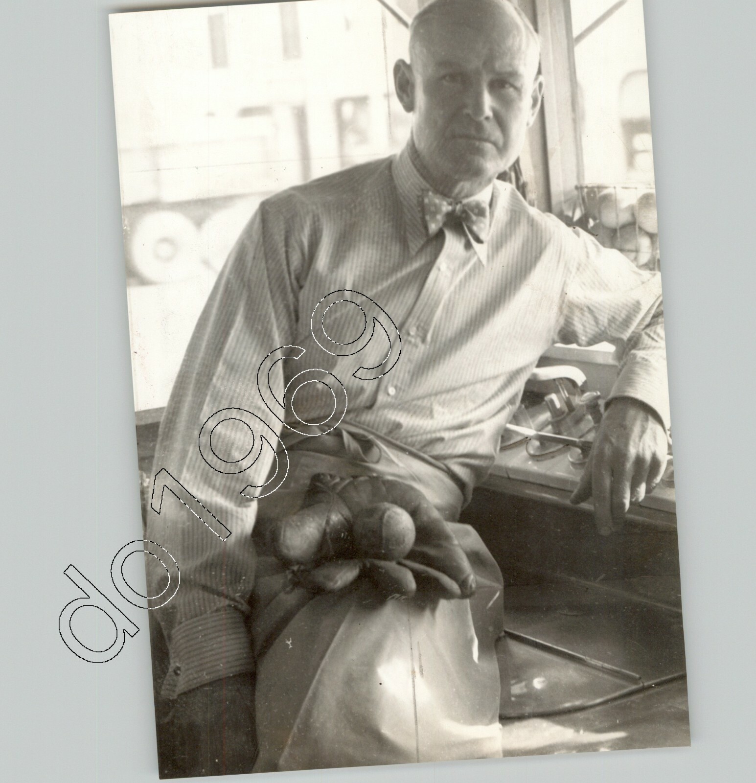 ICONIC Portrait of SAM 'WAHOO' CRAWFORD, USA 1950s VTG MLB Baseball ...