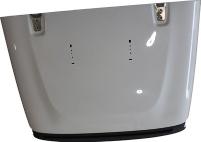 JEEP Wrangler JL Gladiator Hood 68281949AE Paint Bright White OEM ...