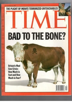 BAD TO THE BONE? BRITAIN MAD COW CRISIS TIME 1997 magazine December 15 ...