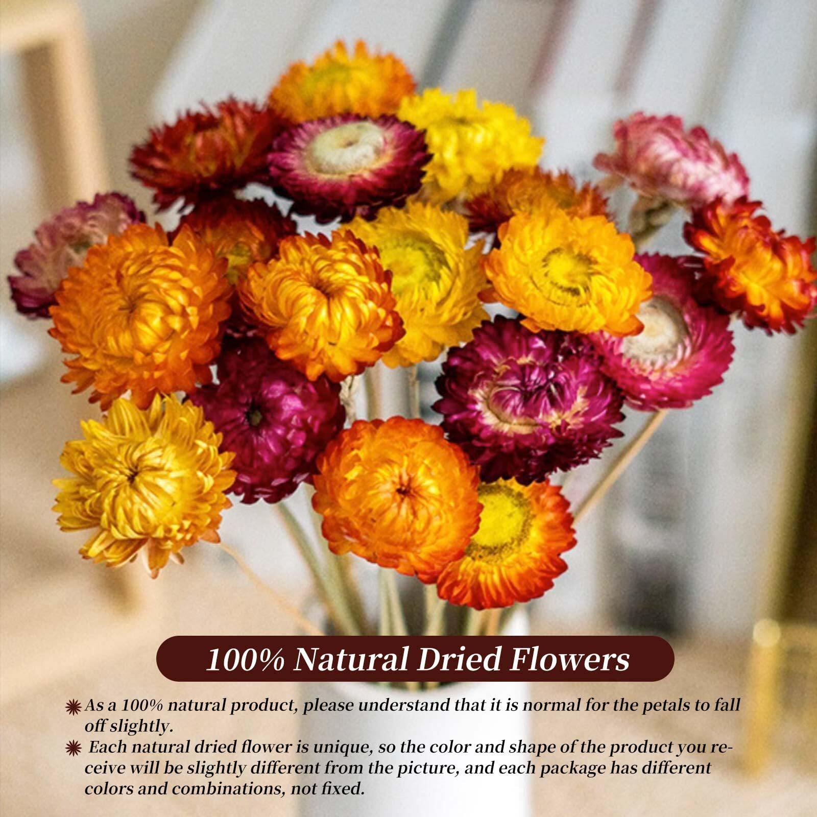 Dried Flowers Natural Daisy Mums Flower 20 Stems Multicolor Daisies ...