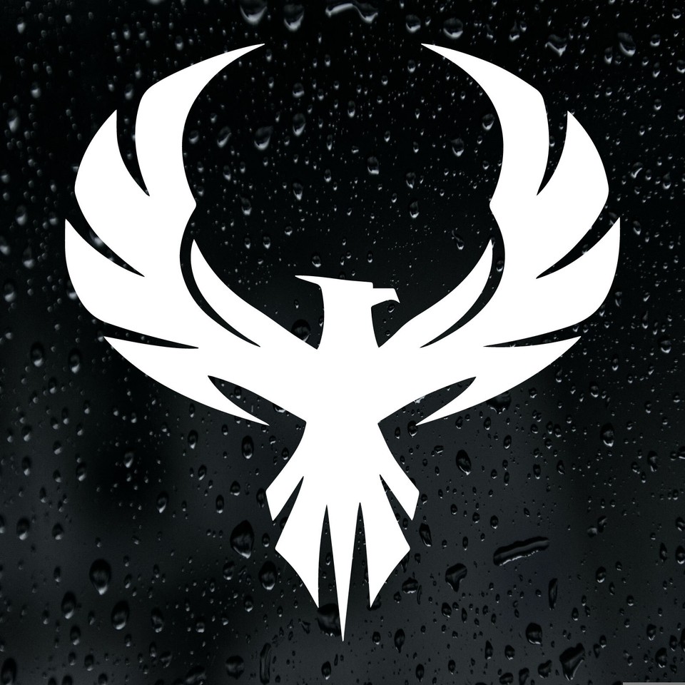 PHOENIX BIRD RISING Decal Vinyl Sticker for Car Bumper Window Door ...