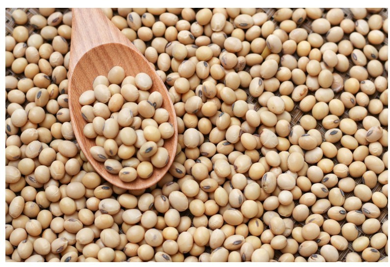 Jayone Non-GMO USA Soybeans for Tofu Soymilk Vegetarian Protein 4lb ...