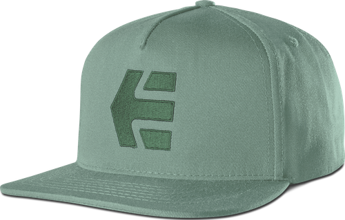 Etnies Mens Icon Snapback Moss Hat | eBay
