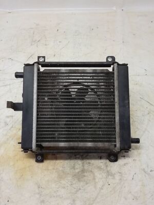 WATER RADIATOR FOR KYMCO XCITING 250 FROM 2006 (e41600) | eBay