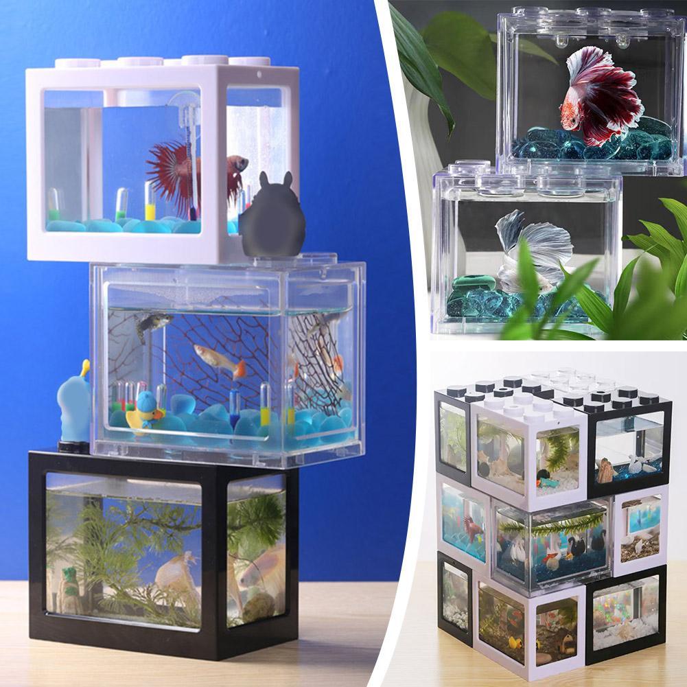 Coolest Betta Fish Tank