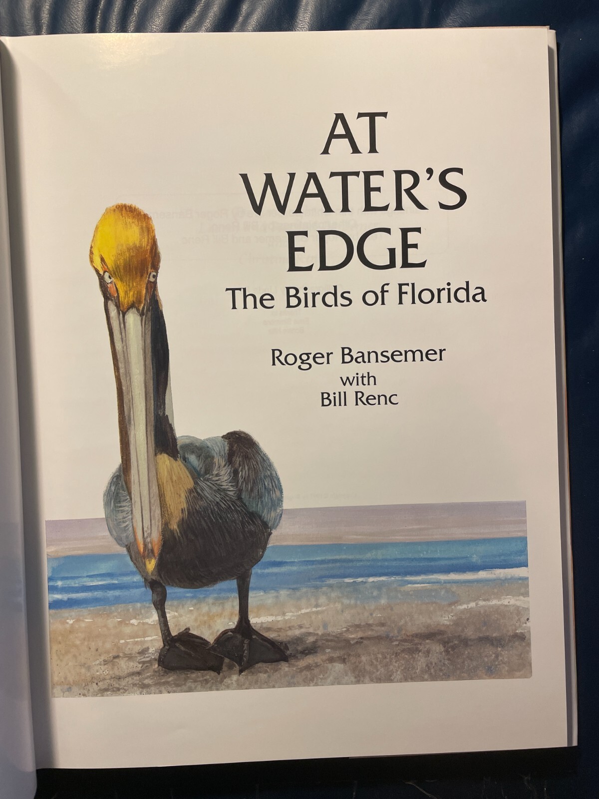 At Water's Edge : The Birds of Florida by Roger Bansemer and Bill Renc ...