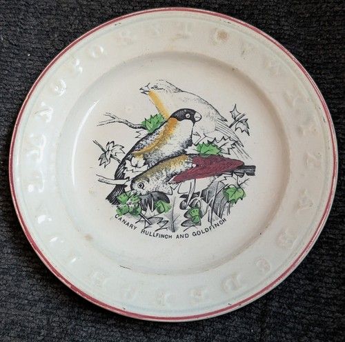 Antique English 1840s-1850s Child's ABC Plate ~ Canary, Bullfinch, and ...