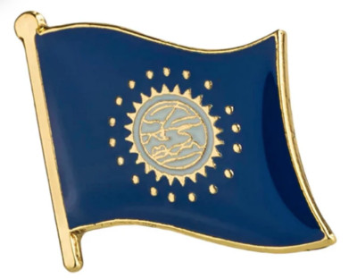 SOUTH DAKOTA STATE USA United States America US Metal Flag Lapel Pin ...