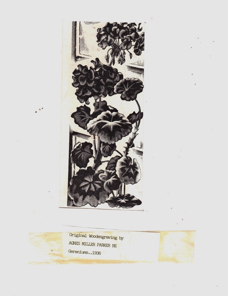 ORIGINAL WOOD ENGRAVING ‘GERANIUMS’ by AGNES MILLER PARKER RE 1936 2.5 ...