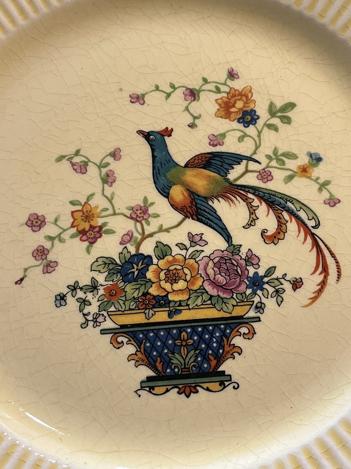 Dinner Plates Cups Saucers Yellow Bird of Paradise Set 18 Antique Ivory ...