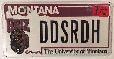 Bear vanity DDS RDH DENTIST license plate Dentistry Dental Hygienist ...