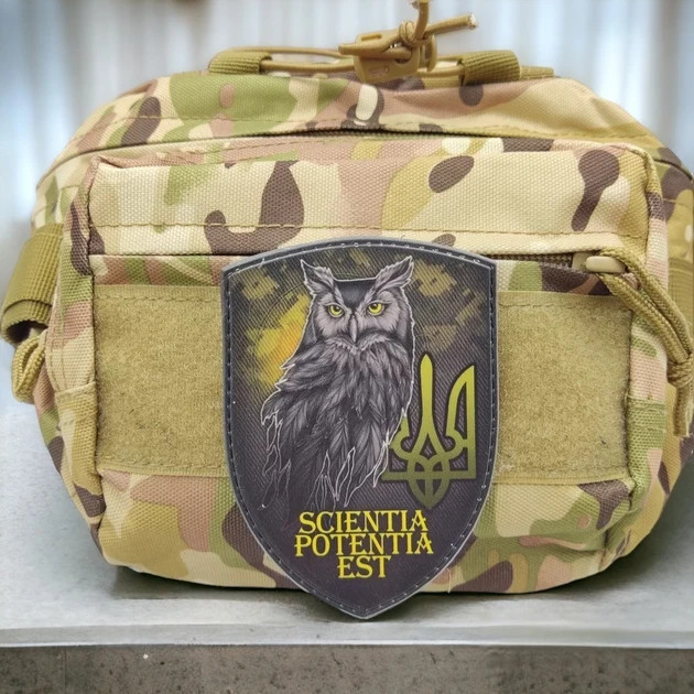 Chevron patch "Scientia Potentia Est" (Knowledge is Power) | eBay