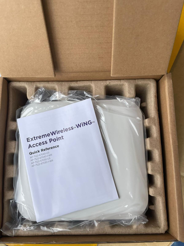Extreme Networks Wing AP-7522-67030-1-WR Doppio Radio Punto di Accesso ...