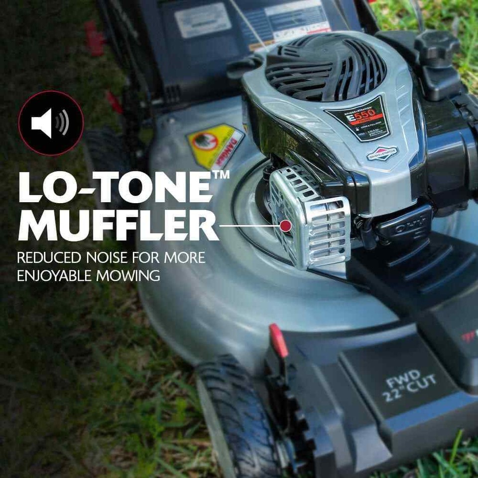 Murray 22 in. 140cc Briggs & Stratton Self-Propelled Lawn Mower w/ FWD ...