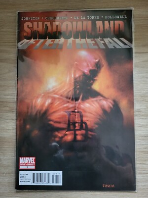 SHADOWLAND AFTER THE FALL 1 ONE SHOT DAVID FINCH DAREDEVIL MOON KNIGHT ...