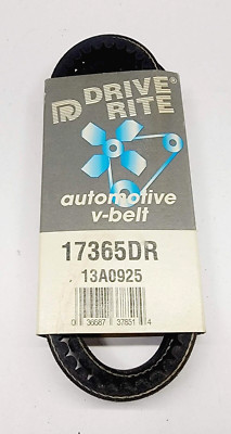 Accessory Drive Belt-VIN: H Drive-Rite 17365DR | eBay