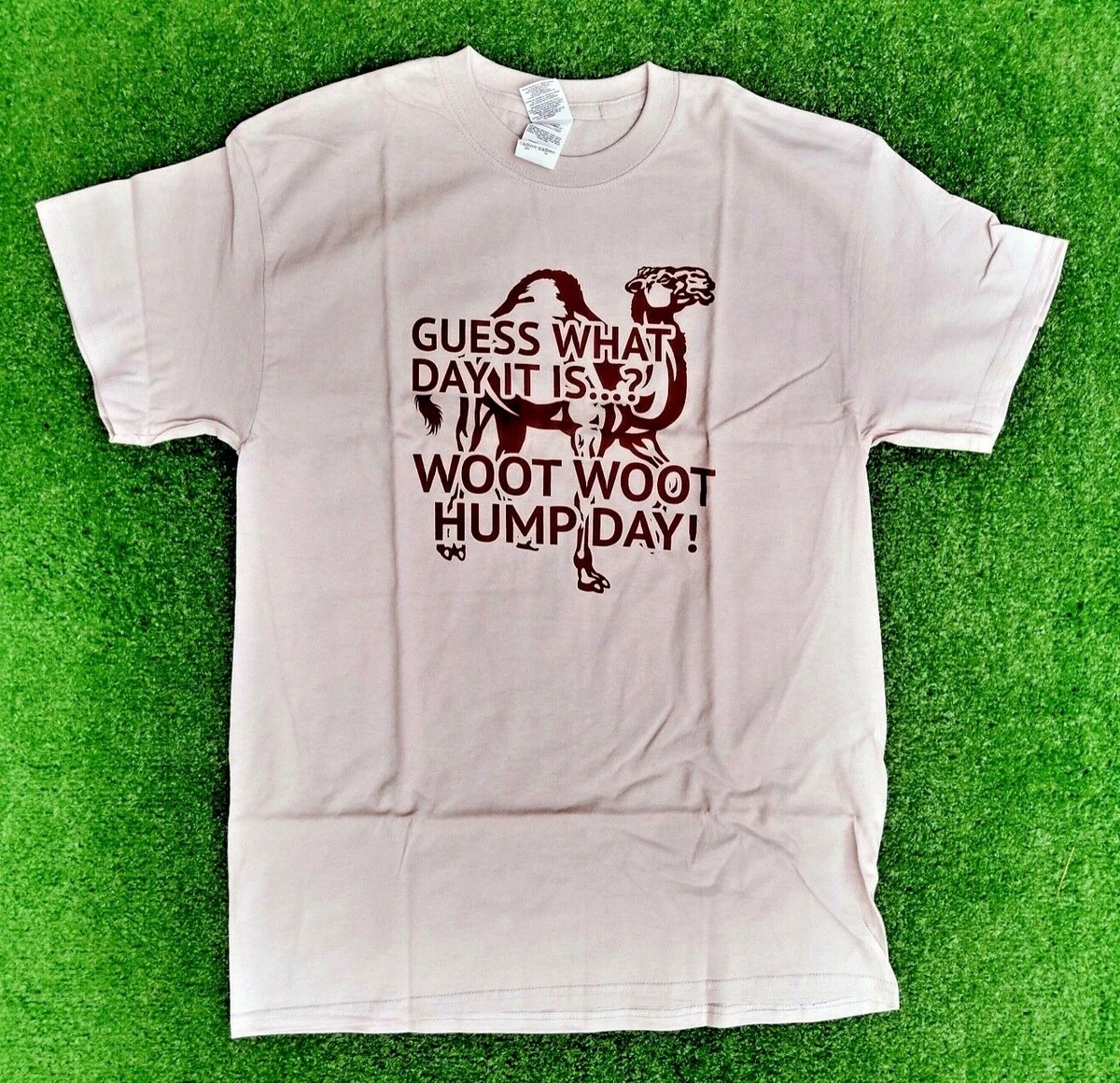 Guess What Day It Is Camel Meme