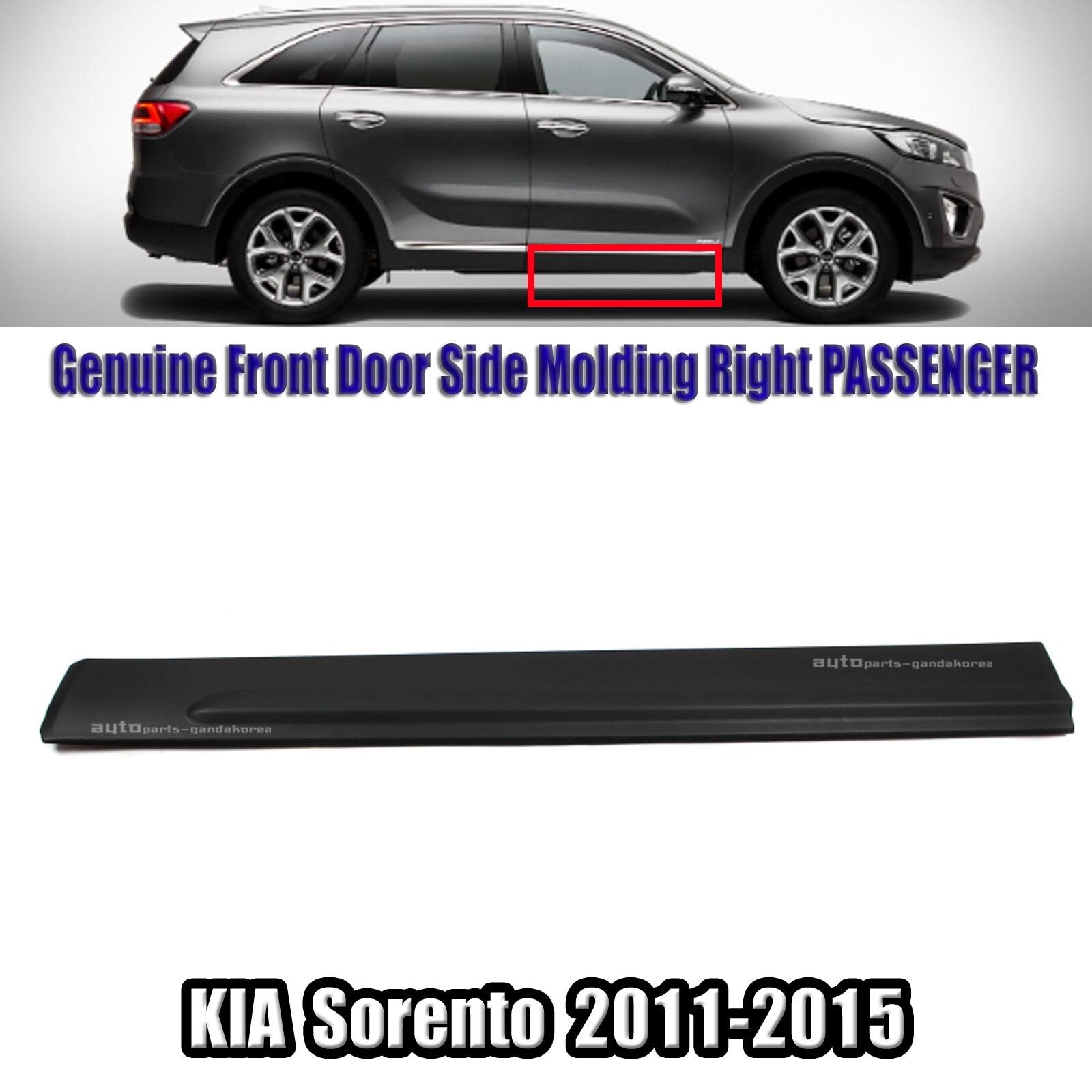 FREE Fast⭐FEDEX Genuine Front Door Lower Molding RIGHT For Kia Sorento ...