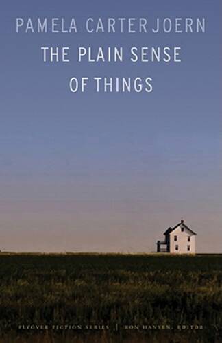 The Plain Sense of Things (Flyover Fiction) - Paperback - GOOD ...