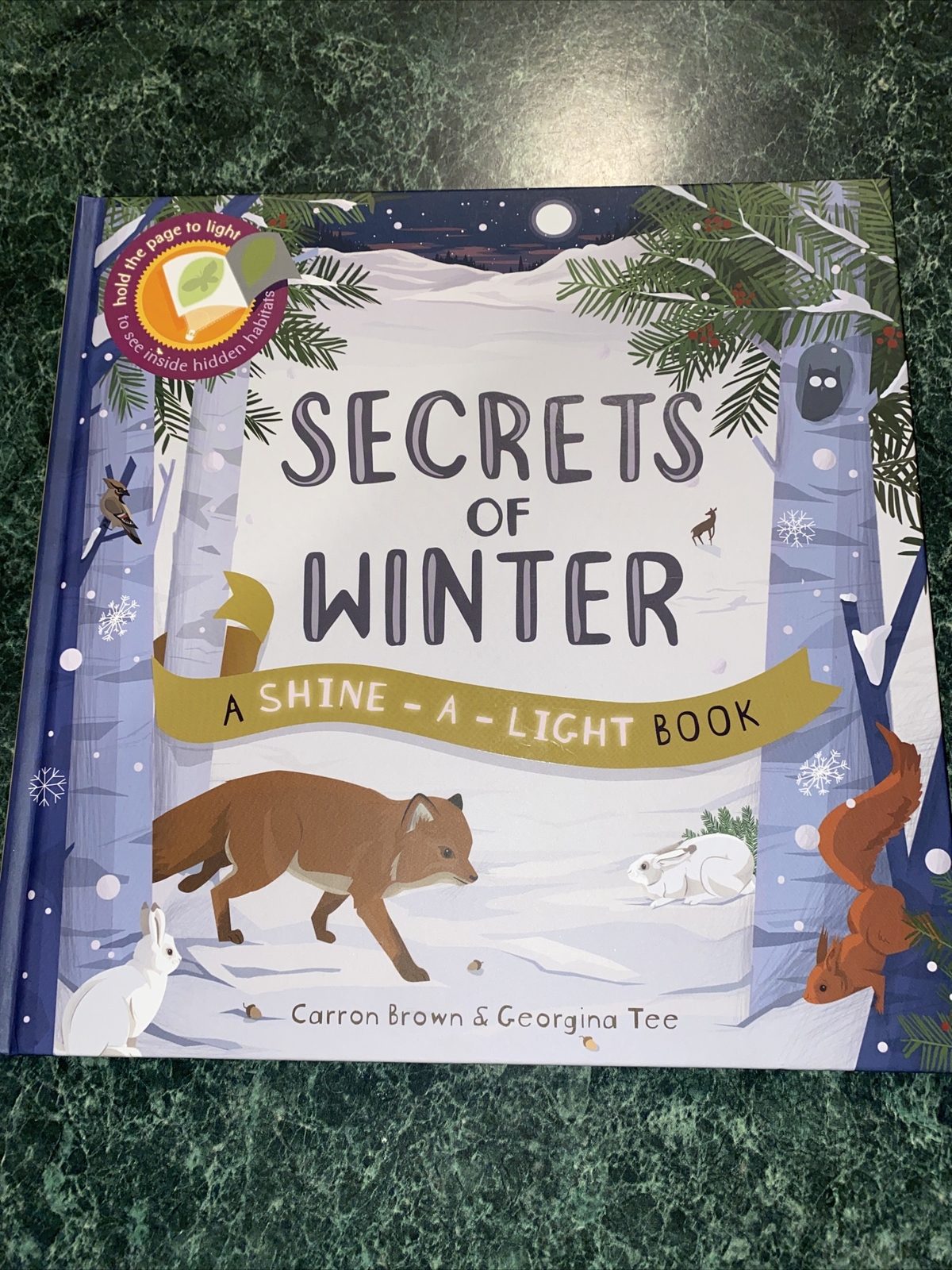 Secrets of Winter by Carron Brown (2015, Hardcover) for sale online | eBay