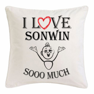 I Love Sonwin KISSENBEZUG 40X40cm Ich Liebe Sonwin Weiss 116098 | eBay.de