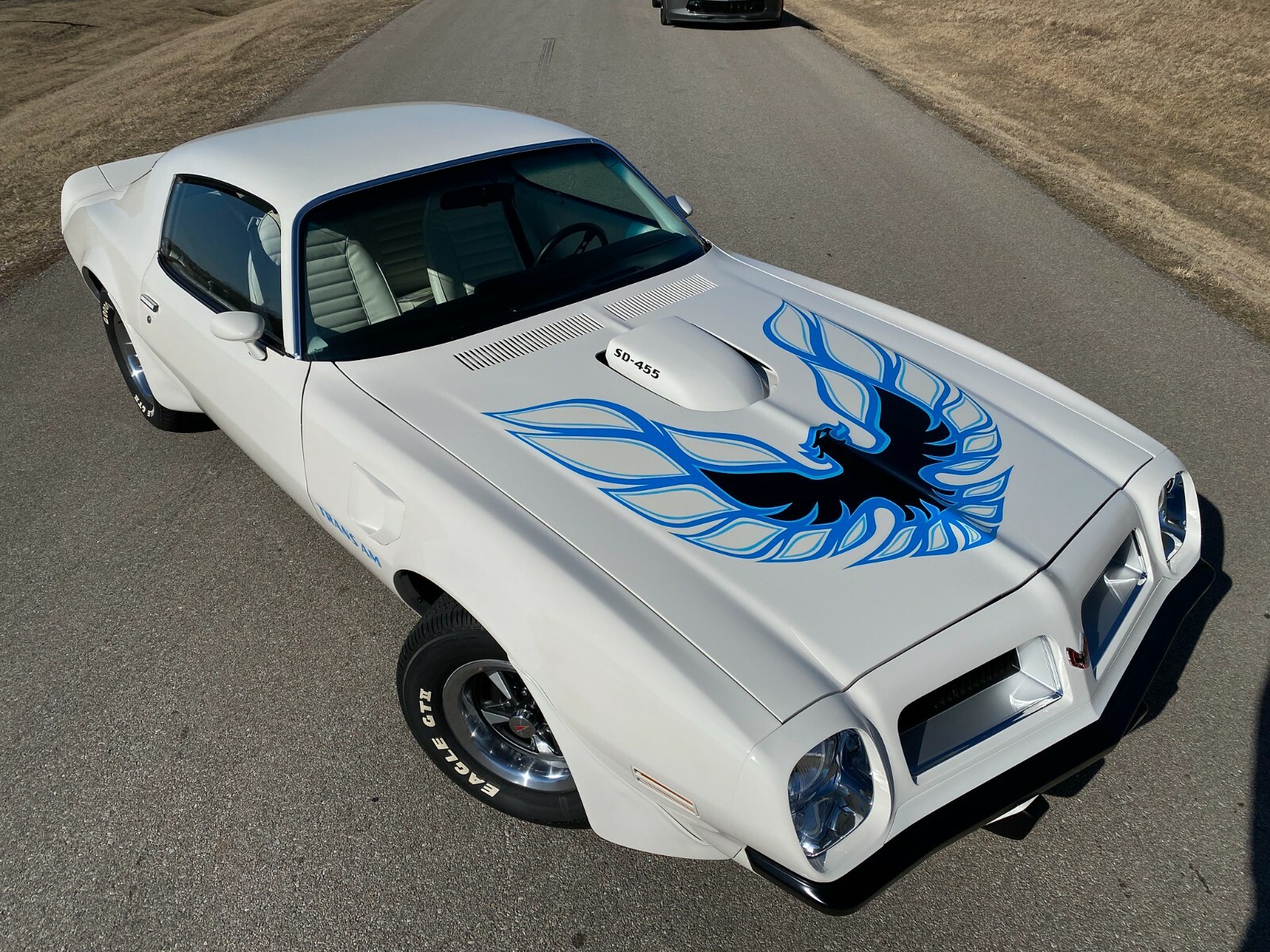 1973-77 Pontiac Trans Am "Special Edition" Complete Decal Kit | eBay