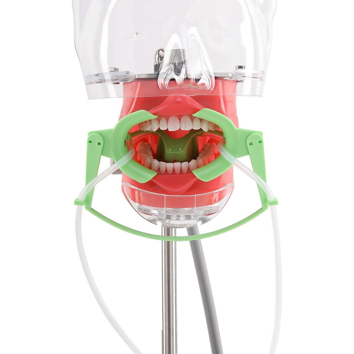 Cheek Retractors 3d Oral Dental Mouth Opener Intraoral Cheek Lip ...