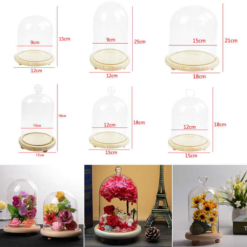 Decorative Glass Dome Bell Jar Wooden Base Cloche Bell Jar DIY Display ...