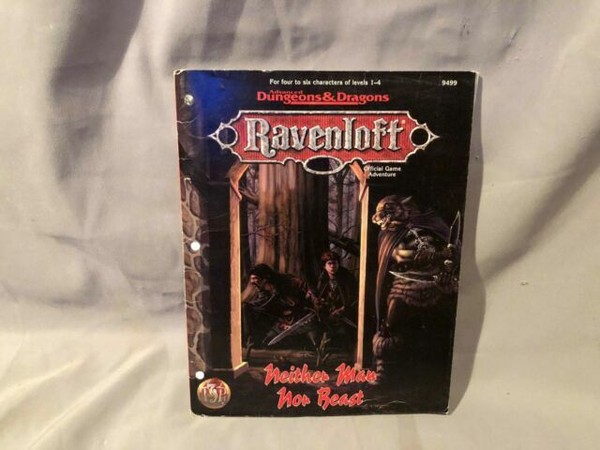 Advanced Dungeons and Dragons, 2nd Edition: Ravenloft Campaign World ...