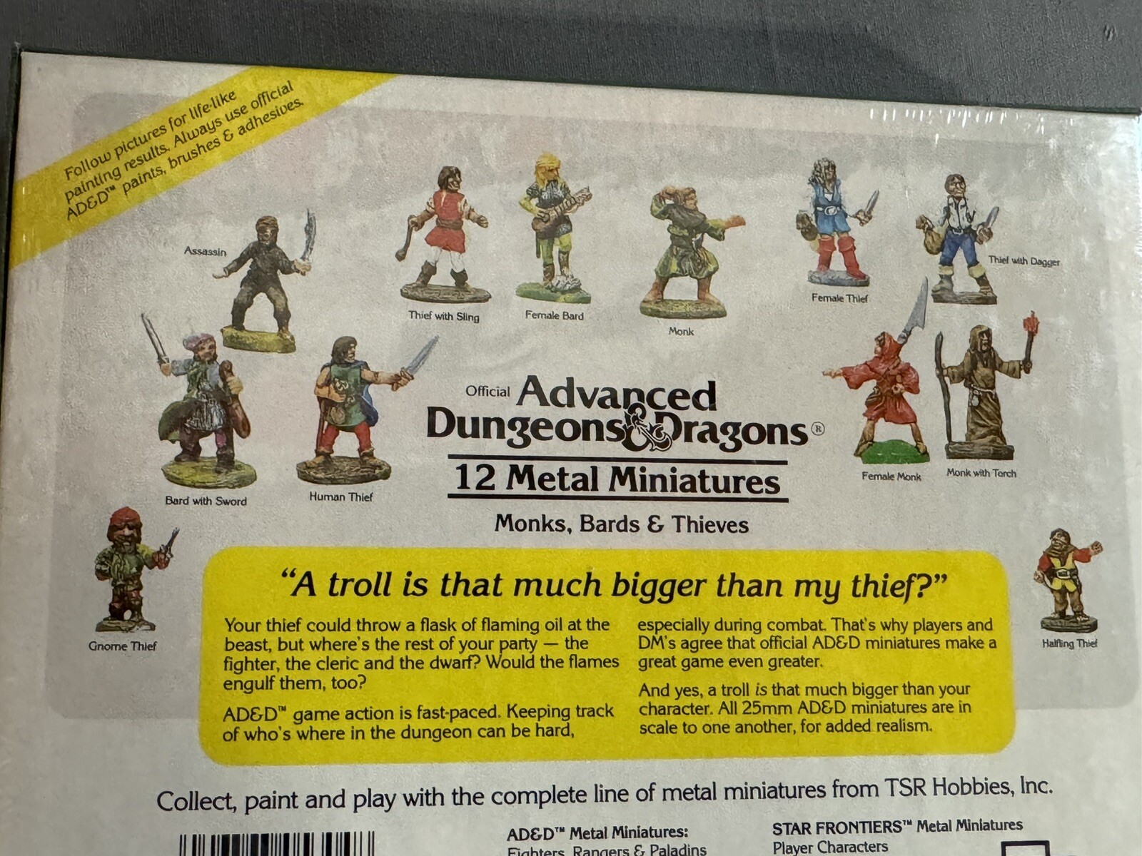 TSR Dungeons and Dragons Miniatures 5304 Monks Bards & Thieves 12 ...
