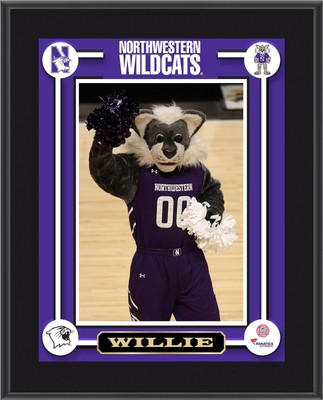 Northwestern Wildcats Willie Mascot 10.5x13 Plaque | eBay