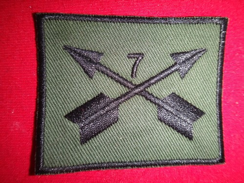 Vietnam Guerre Armée Américaine 7th Forces Spéciales Groupe Attenué ...